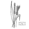 Cattails Embroidery Patterns | French Knots