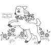 Baby Lamb Embroidery Patterns | French Knots